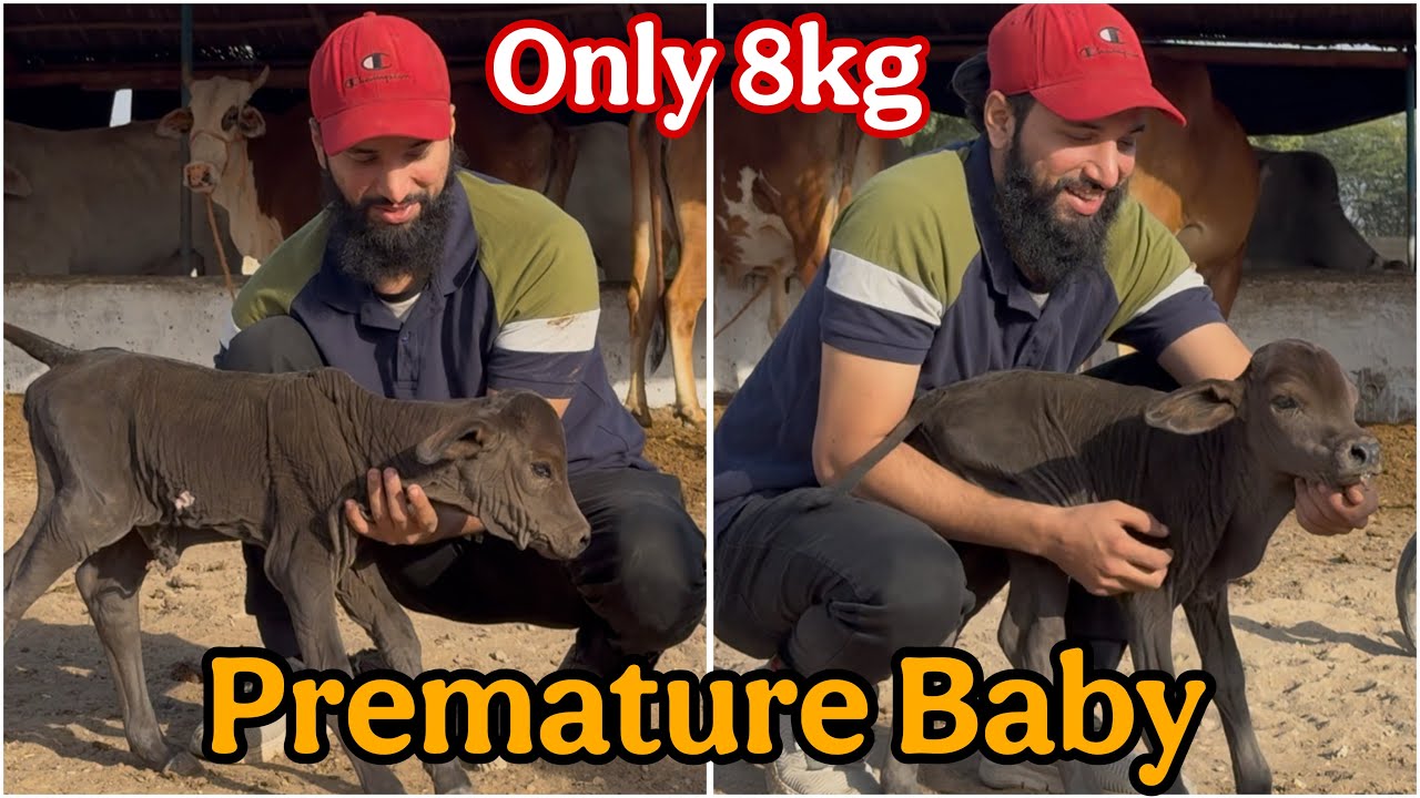 Premature Baby Unhide | Birth Weight Only 8kg 😱 | AR Maani - YouTube