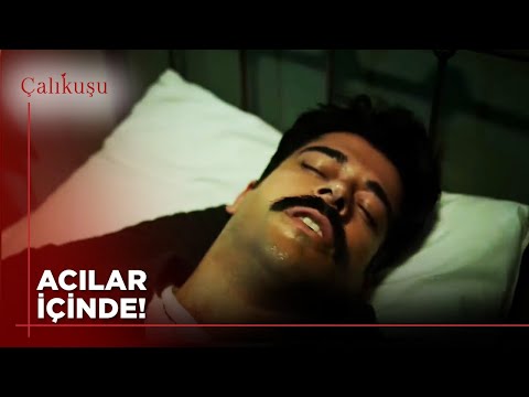 Kamran, Hapishane'de Can Çekişiyor! | Çalıkuşu 21. Bölüm