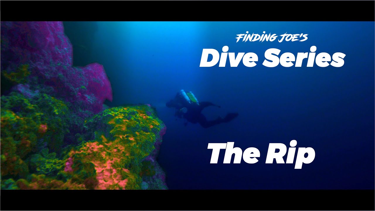 Dive Series Ep 02- Amazing never before seen underwater footage. - YouTube