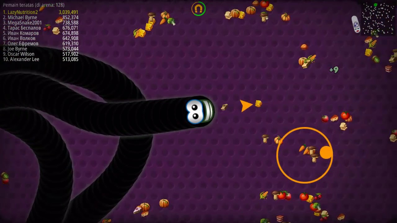 Cacing besar Alaska - YouTube