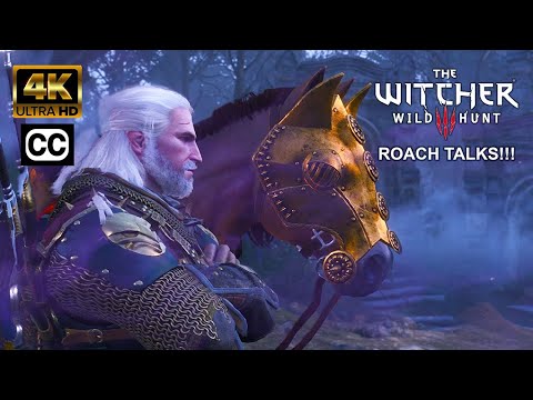How to find Equine Phantoms Quest in Witcher3 | 4K Closed Captions