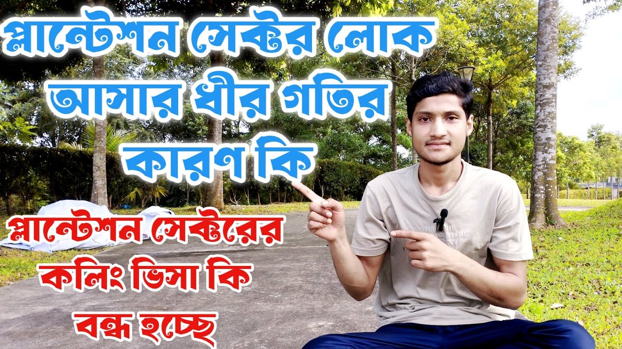 প্লান্টেশন সেক্টরে কলিং ভিসা কি বন্ধ হচ্ছে//Malaysia calling visa update 2025//Bipul bd vlogs ...