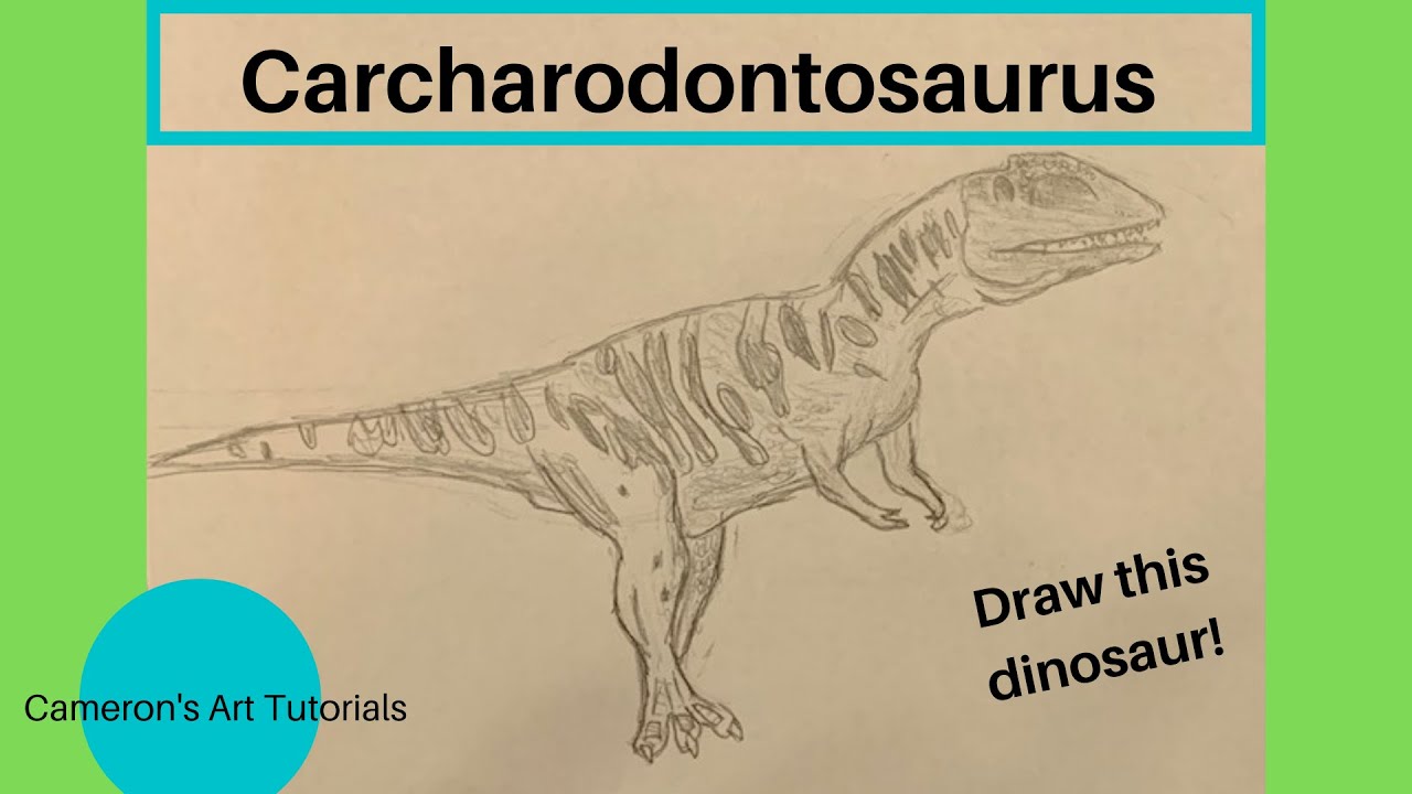 How to draw a Carcharodontosaurus Dinosaur - YouTube