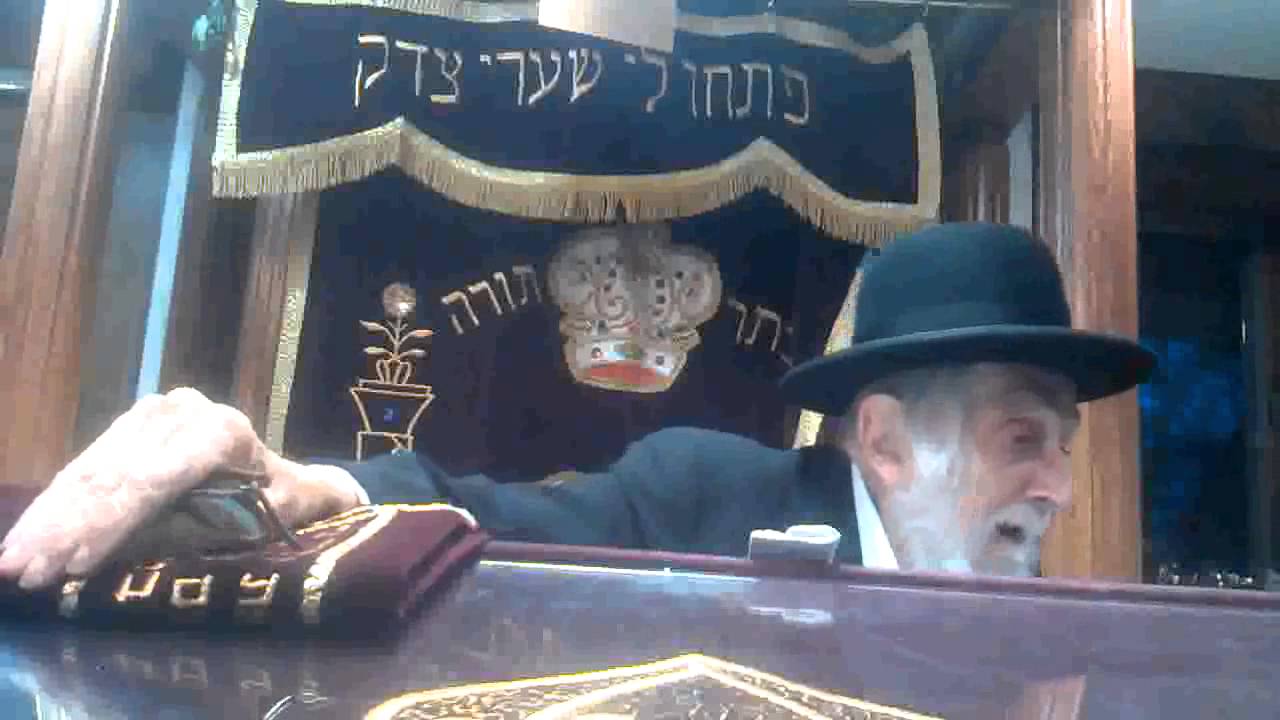 Rabbi Fishbain Parshas Noach - holy animals - YouTube