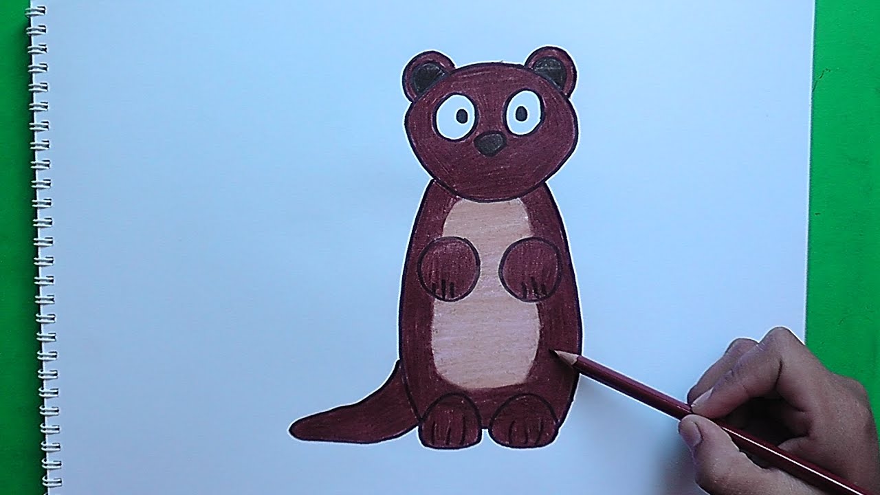 Dibujar y colorear paso a paso a Comadreja - Draw and color step by ...