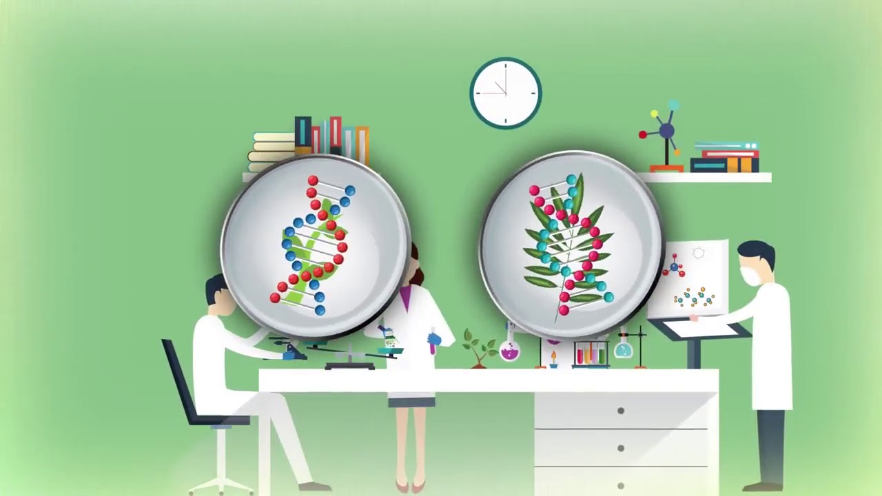 Nutrilite Traditional Herbs Range Traceability Story - YouTube