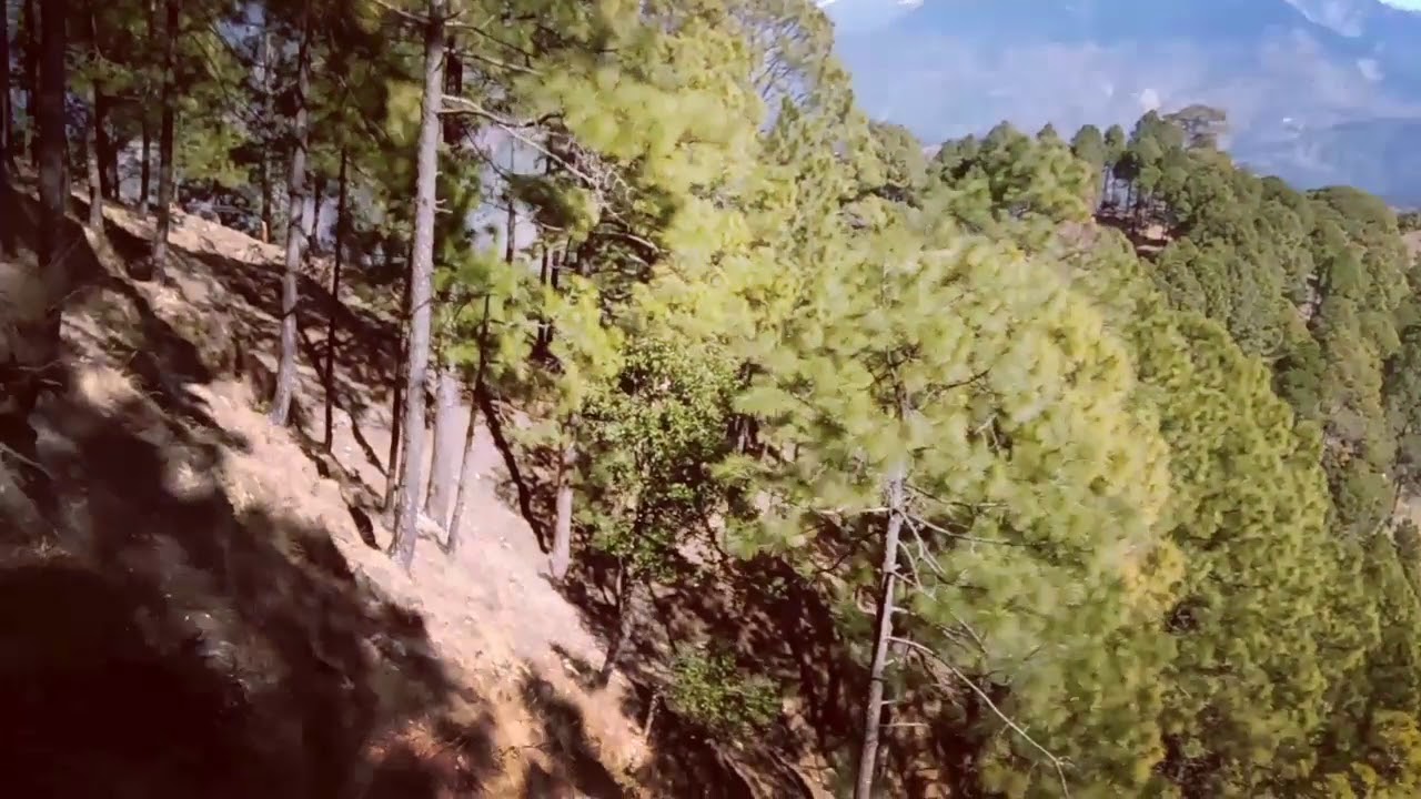 Askote :Pithoragarh (Uttarakhand) - YouTube