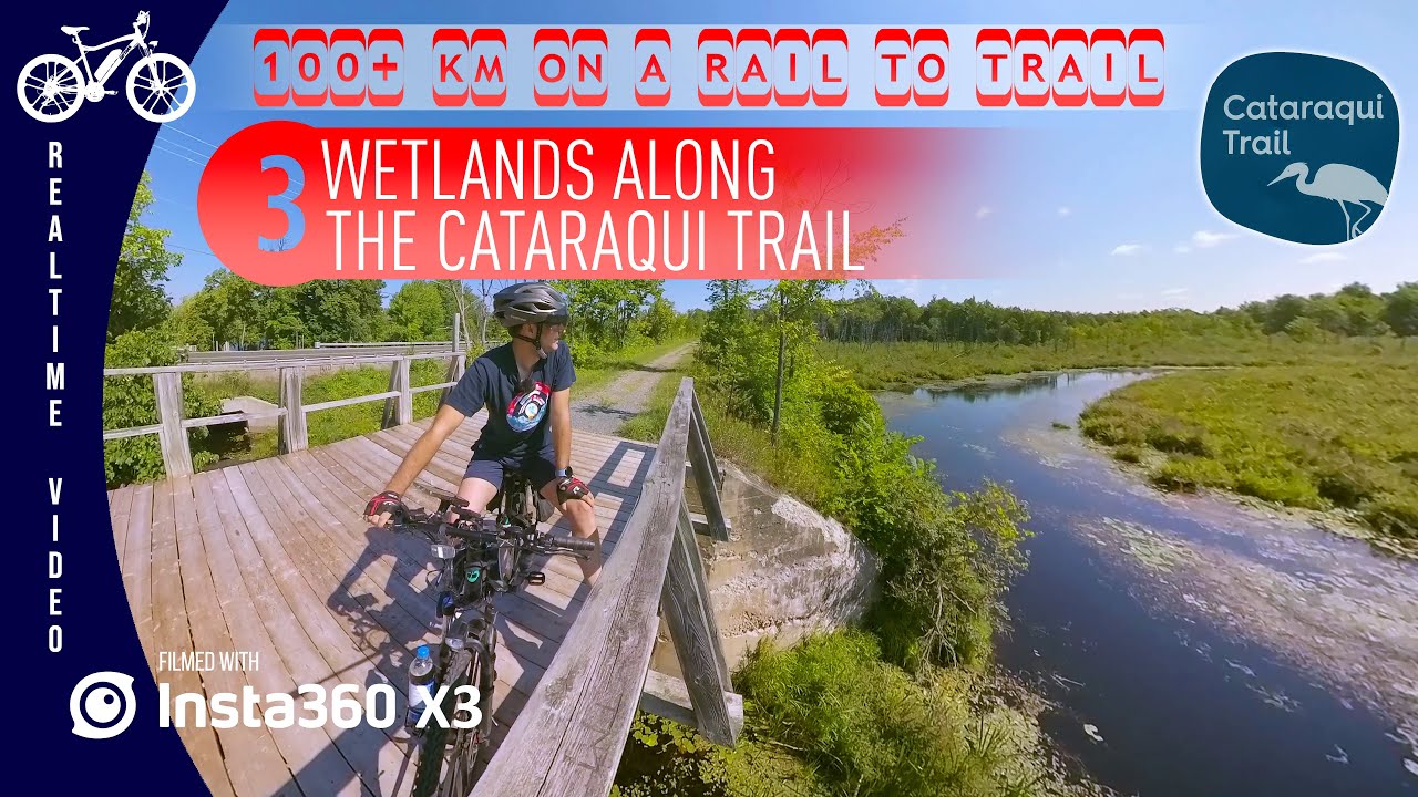 WETLANDS Along THE CATARAQUI TRAIL - 100+ KM On A Rail To Trail - YouTube