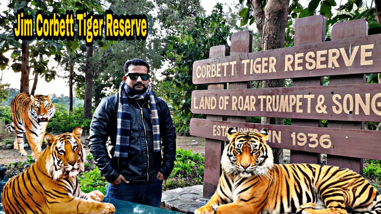 Jim Corbett Safari | Jim Corbett Tiger Reserve | Jim Corbett National ...