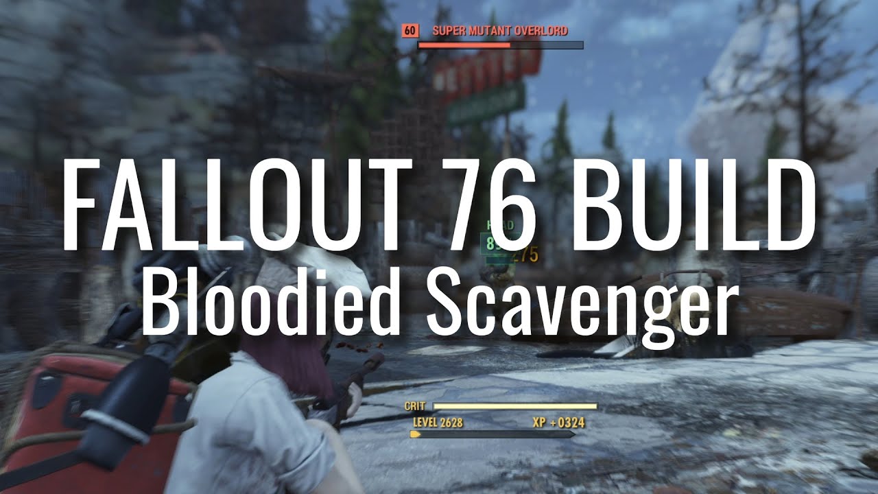 My Bloodied Scavenger Build (May 2024) | Fallout 76 - YouTube