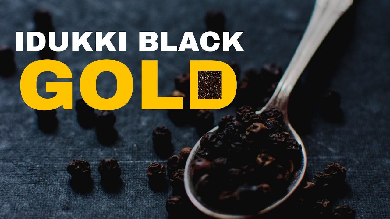 Idukki Black Gold | Indian Spice Pepper by Spice Shuttle - YouTube