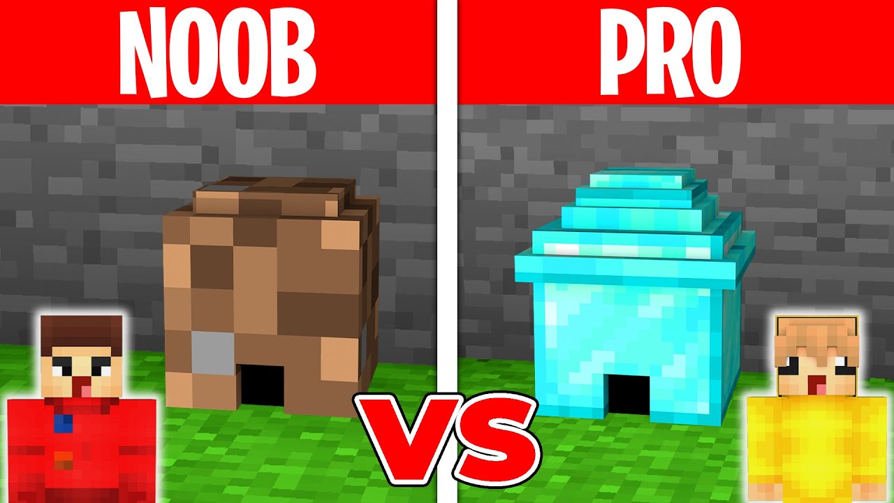 Minecraft NOOB vs PRO: SAFEST TINY HOUSE BUILD CHALLENGE - YouTube
