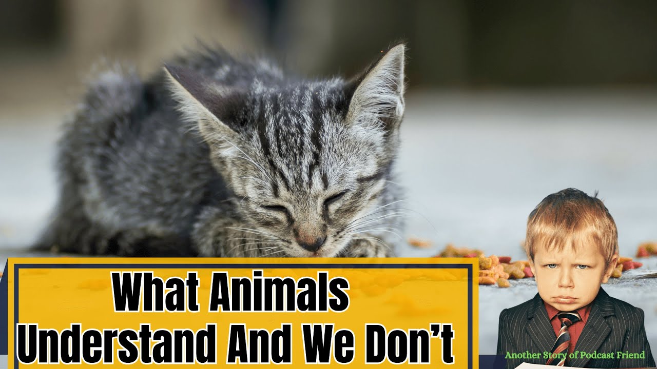 What Animals Realize That We Don't: The Snake's Lesson in Forgiveness ...