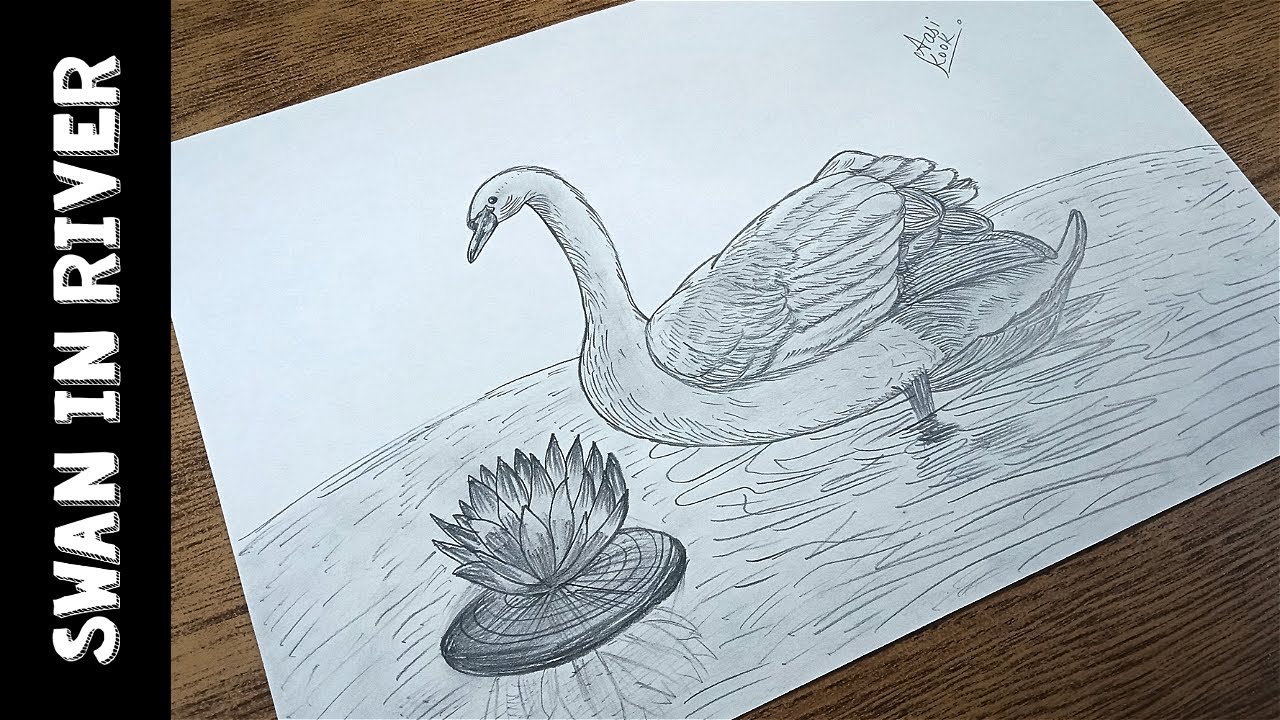 How to draw Swan Step By Step In An Easy Way | Easy Drawing | Pencil ...