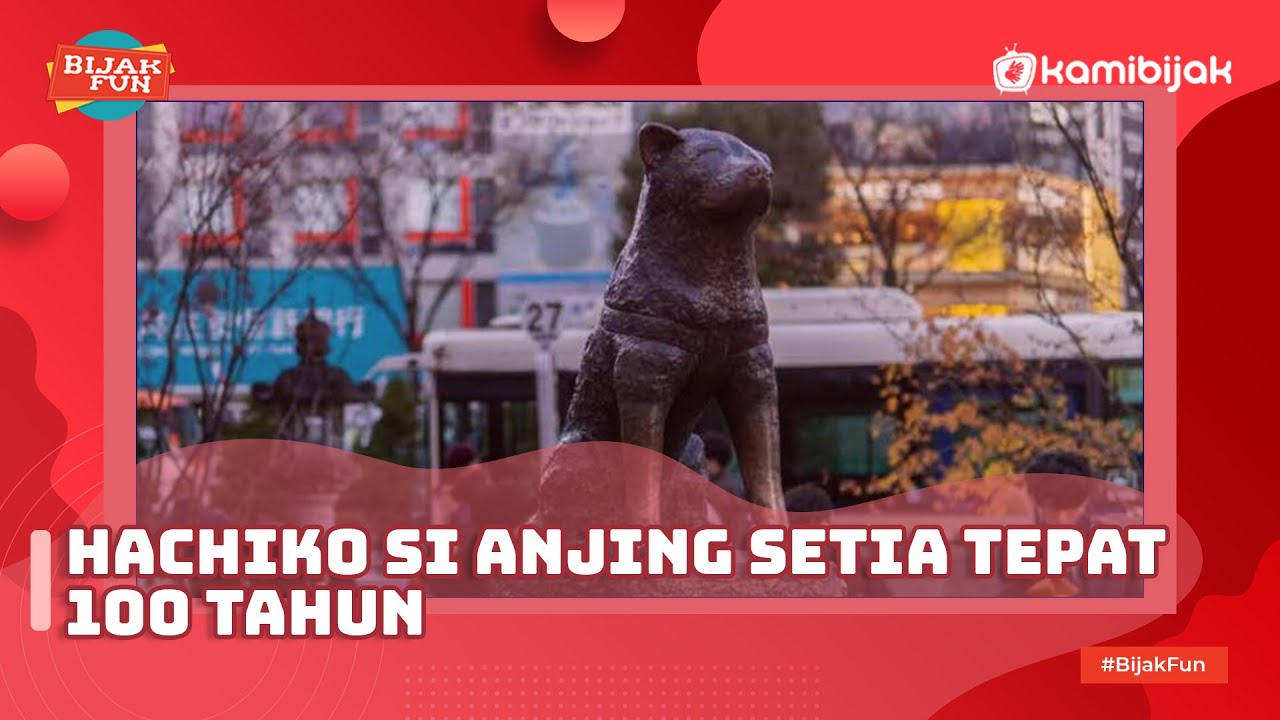 Perayaan 100 Tahun Hachiko Si Anjing Setia - YouTube