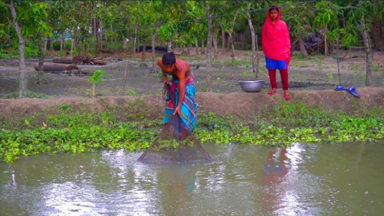 Net Fishing | Asian Village Traditional Cast Net Fishing | Fishing with ...
