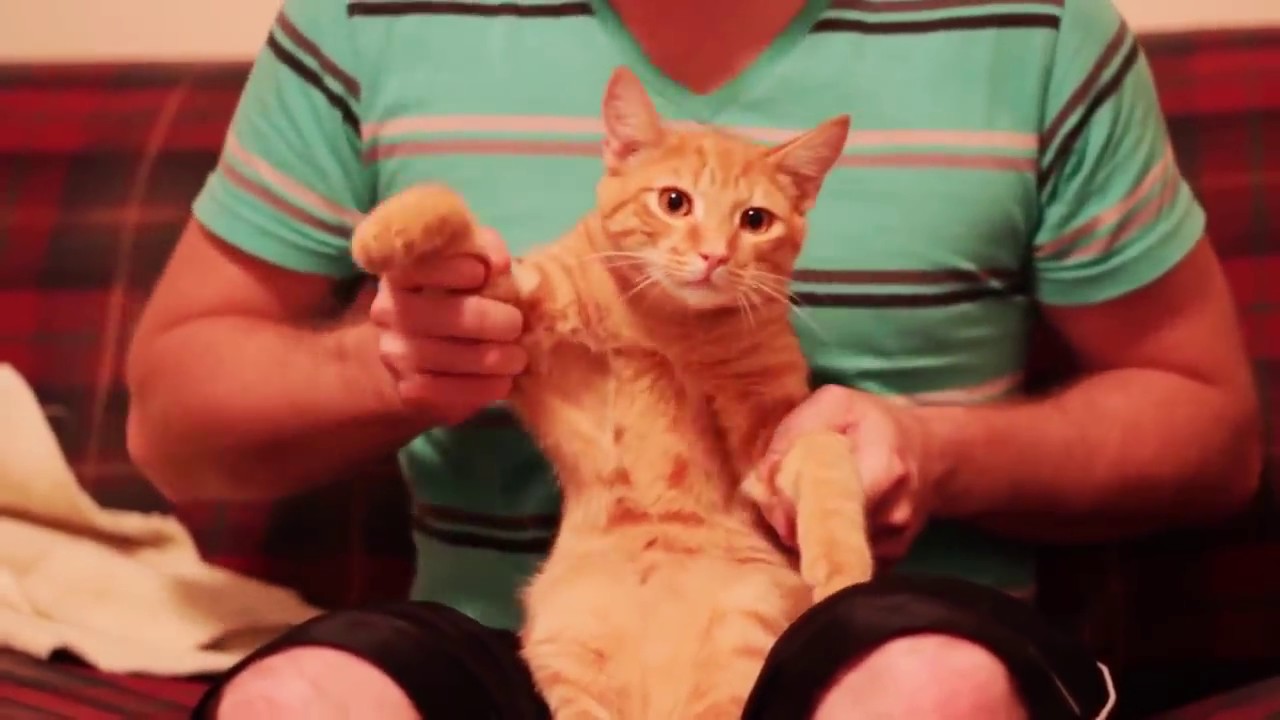 Talking Tom In Real Life- MUST WATCH - YouTube