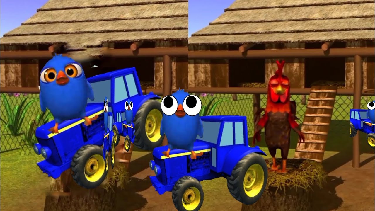 El Pollito Pio Azul montando un tractor azul con un gallo gracioso ...