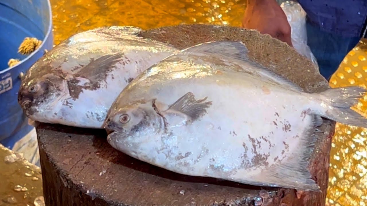 Delicious Big White Pomfret Fish Cutting In Fish Market | Fish Cutting ...