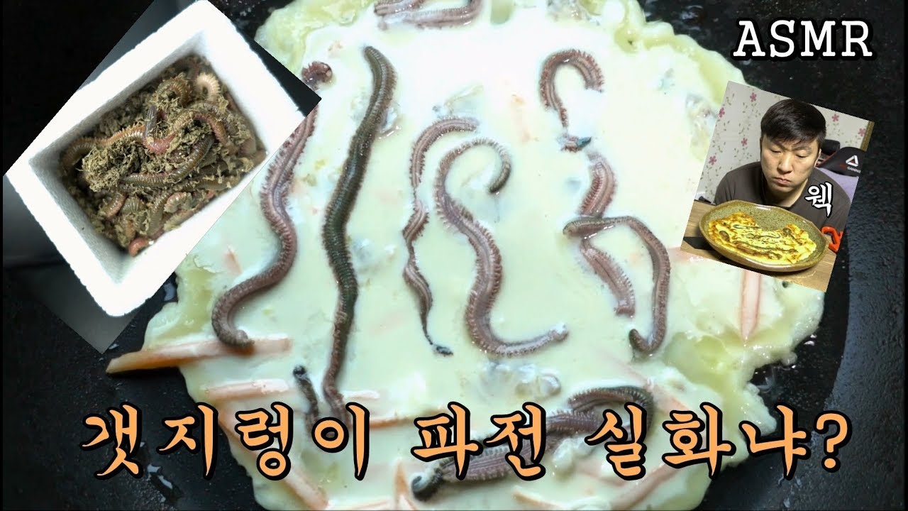 영강) 국내최초!! 갯지렁이로 전을 만들어서 먹어보았다...웩!! 무슨 이런맛이?ㄷㄷASMR Cooking Worm ...