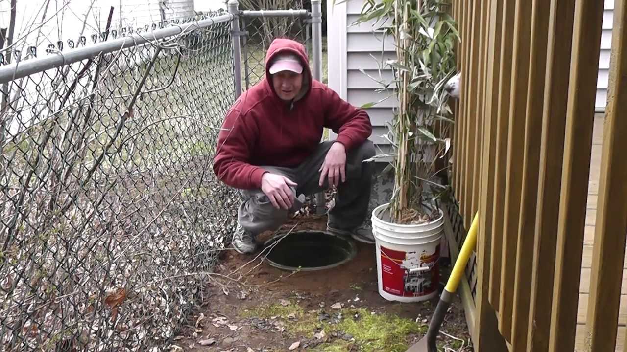 Transplanting Bamboo / Spread Prevention - YouTube