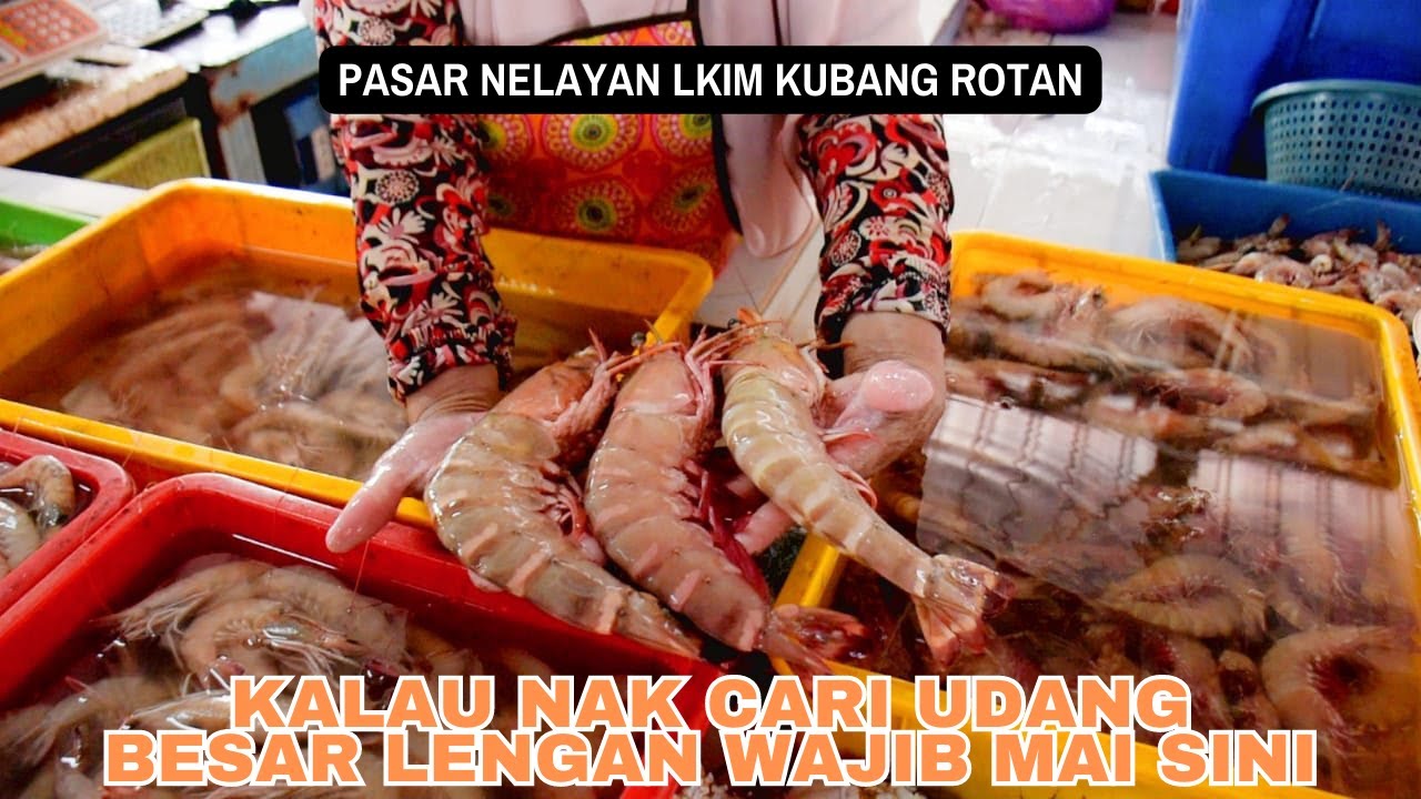 Kalau nak cari udang besar lengan wajib mai sini. Pelantar Nelayan LKIM ...