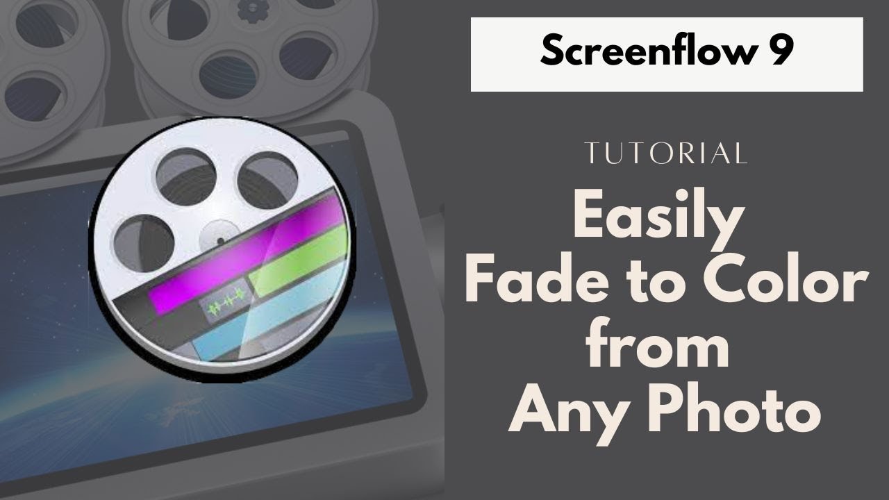 🎨 Mastering the Perfect Fade to Color Effect with Canva 🎨 - YouTube