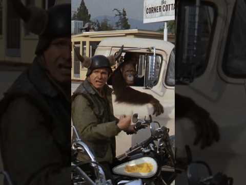 Every Which Way But Loose 1978