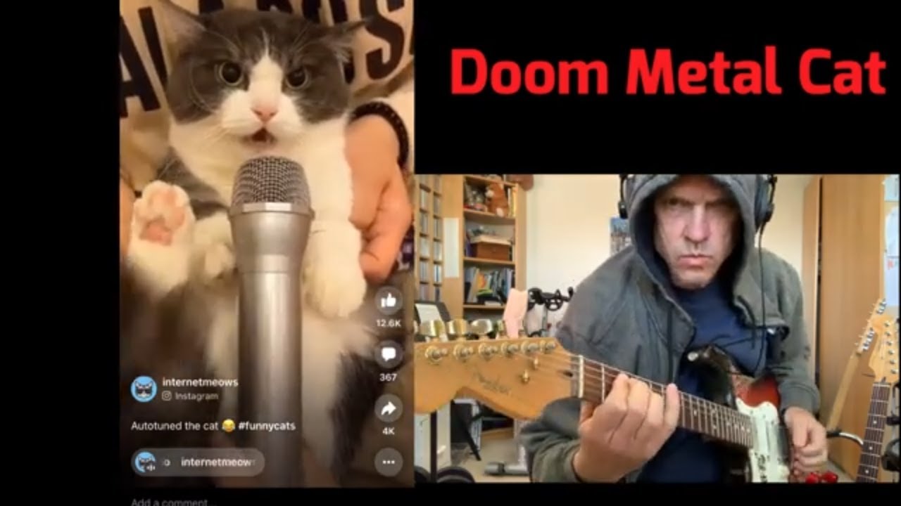 Doom Metal Cat #cats - YouTube