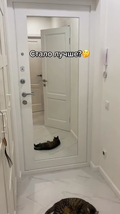 Как покрасить входную дверь Lifehacks Youtube