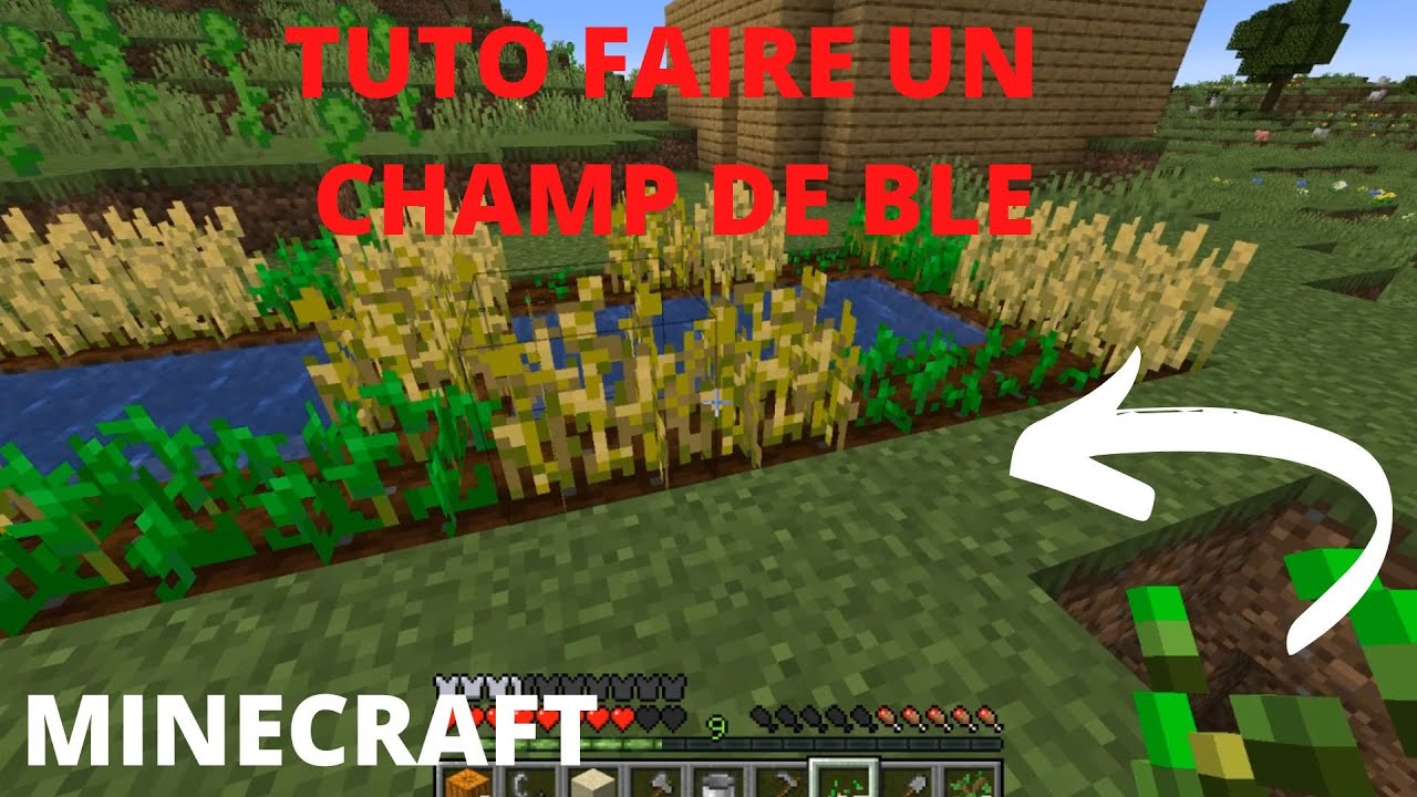 TUTO COMMENT FAIRE UN CHAMP DE BLE SUR MINECRAFT FACILEMENT TUTO ...
