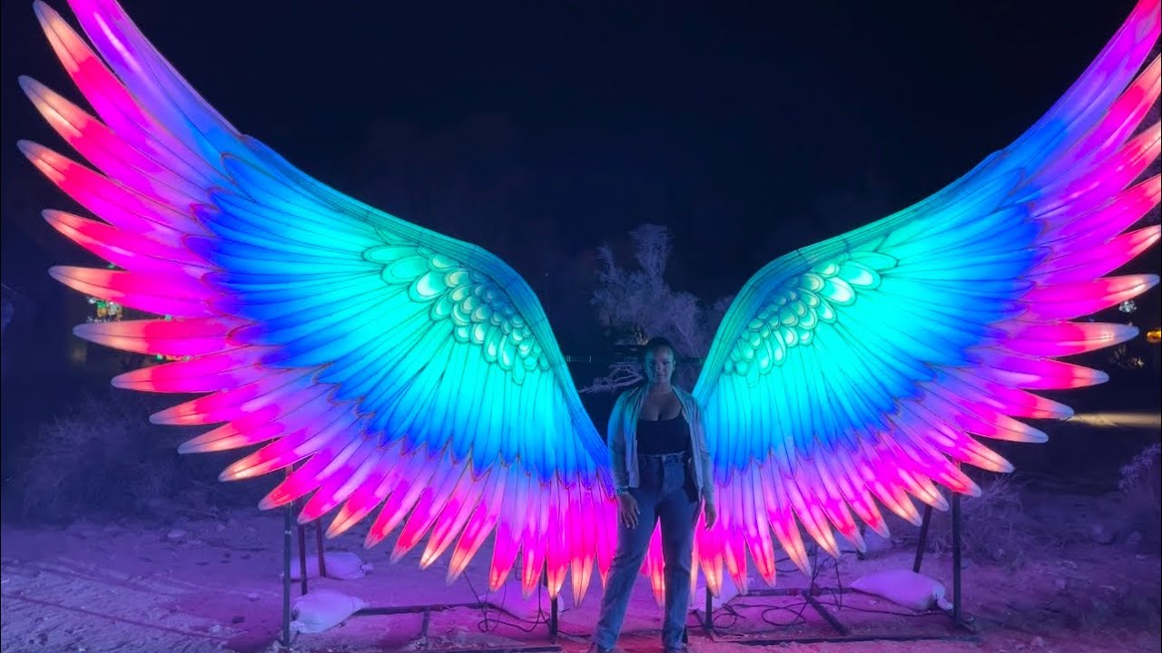 All of the lights!! We Glow at The Living Desert Zoo. - YouTube