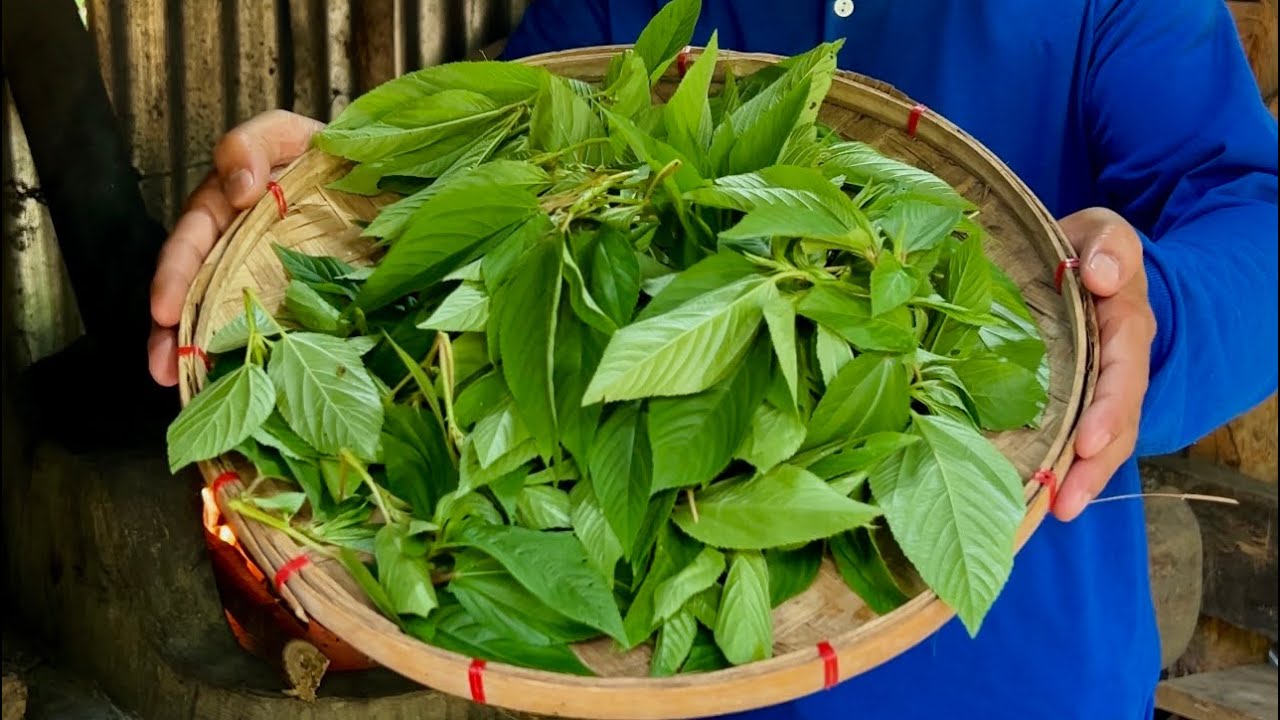 TINIMTIM INASIMANG SALUYOT HOW TO COOK INASIMANG SALUYOT JUTE MALLOW ...