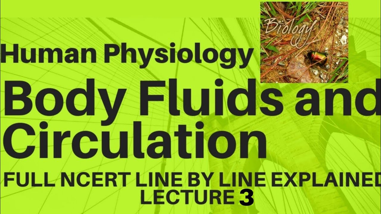 NCERT Ch-18 Body Fluids and Circulation class 11 Human Physiology Full ...