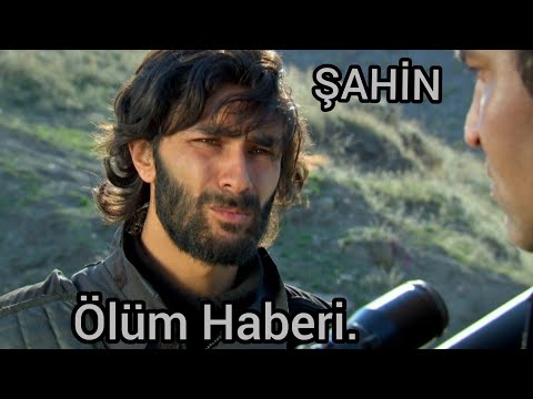 Sungurlar.\