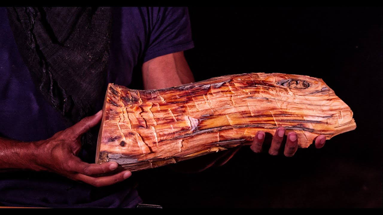 How To Find Fatwood | Monstrous Fatwood Harvest!!! - YouTube