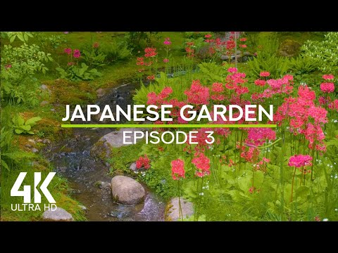 Rahatlatıcı Japon Bahçesi Ortamı4K Bahar Çiçekleri, Kuş Cıvıltıları ve Hafif Dere Sesleri - Bölüm 3