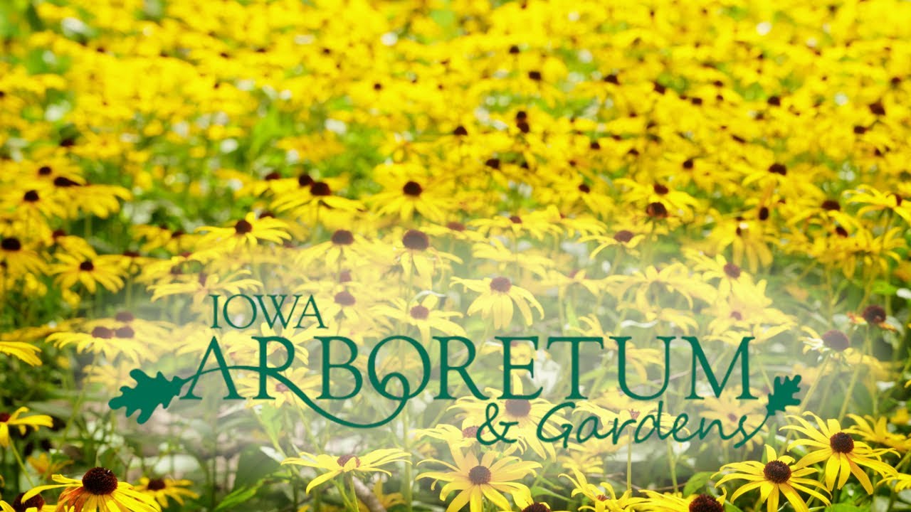 Iowa Arboretum and Gardens - An Arboretum for All - YouTube