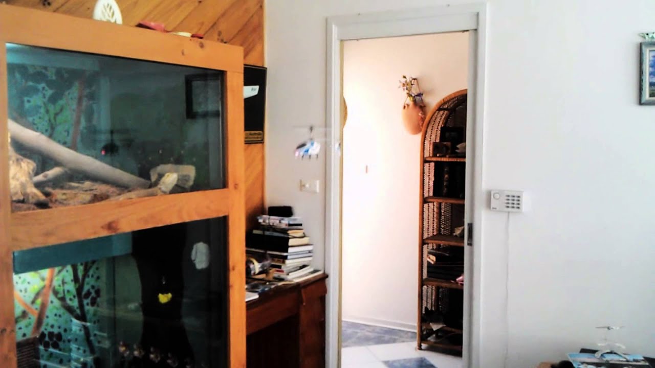 Commando Dragon - YouTube