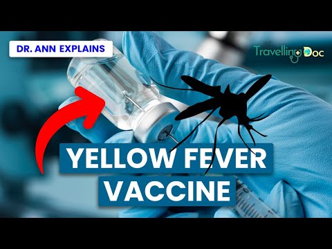 Yellow Fever Vaccine Explained: What You Need to Know - Doctor explains ...