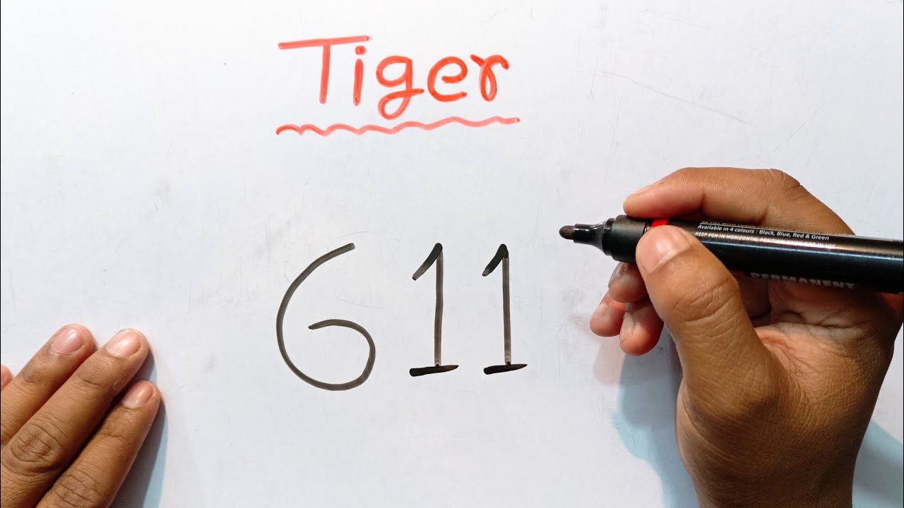 HOW TO DRAW A TIGER EASY FROM NUMBER 611 | TIGER DRAWING EASY STEP BY ...