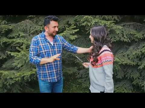 Toygan avanoğlu aslıhan kapansahin