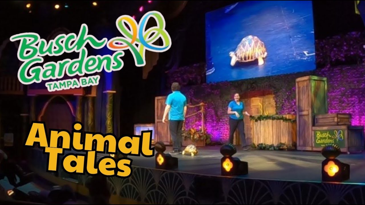 Animal Tales Busch Gardens Tampa Theater Show 2024 Florida Conservation ...
