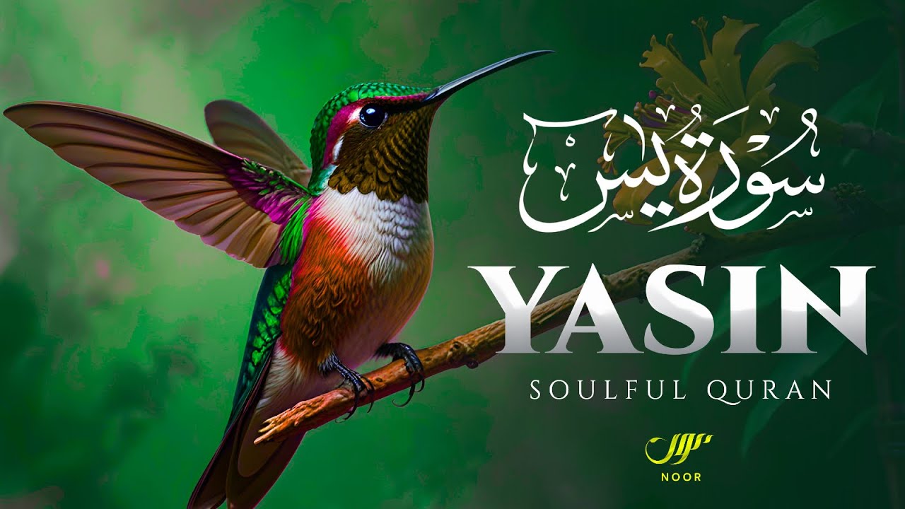 Lush Recitation of Surah Yasin with a Smooth Voice NOOR - YouTube