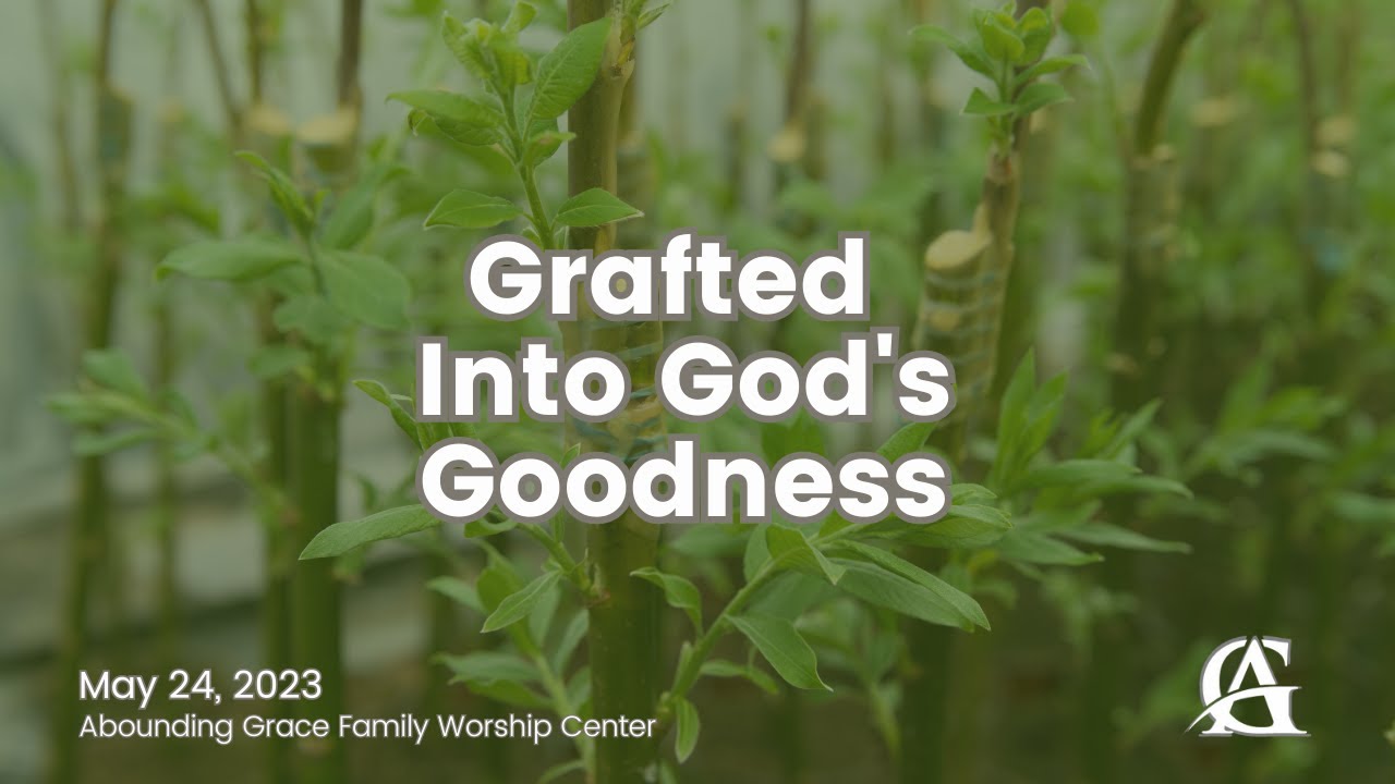 5.24.23 | Grafted Into God's Goodness - YouTube
