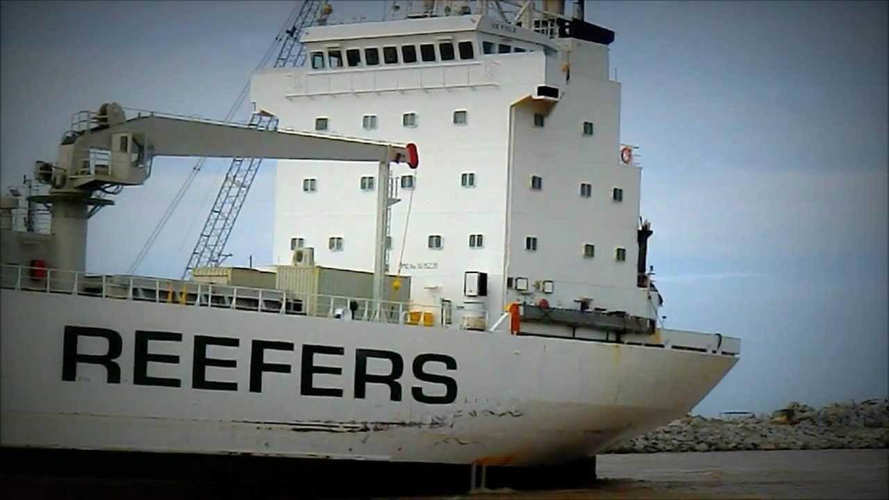 Maestro Reefers - Ice Field - Cayman Islands - YouTube