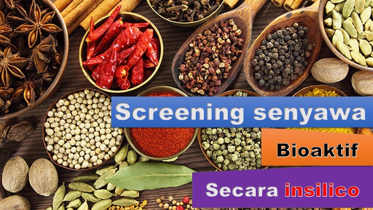 Bioinformatics 11: Tutorial screening potensi senyawa bioaktif sebagai ...