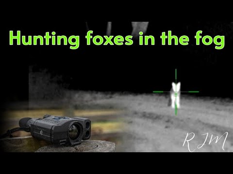 Hunting Foxes in the fog || Accolade 2 Pro || Shooting Australia || 14 ...
