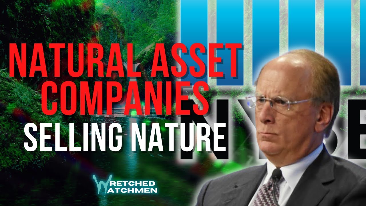 Natural Asset Companies: Selling Nature - YouTube