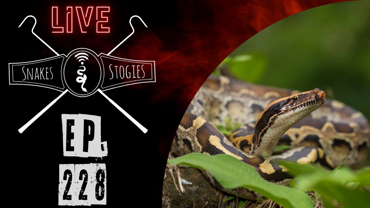 Kevin Arbogast | Snakes & Stogies Ep. 228 - YouTube